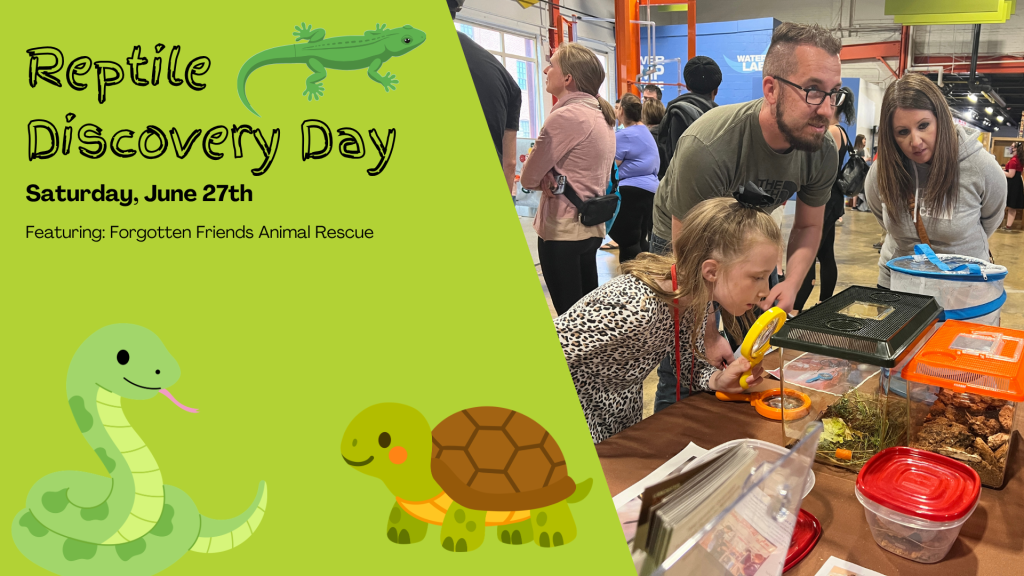 Reptile Discovery Day - The Lancaster Science Factory