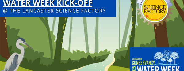 Home - The Lancaster Science Factory